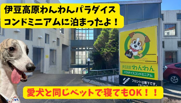 伊豆高原わんわんパラダイスコンドミニアムに宿泊！愛犬と一緒に寝てOK - Doggo